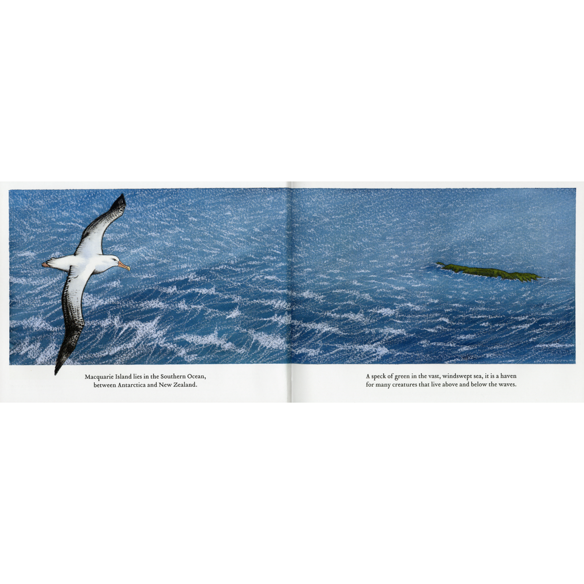 One Small Island BOOKS – alisonlester.com