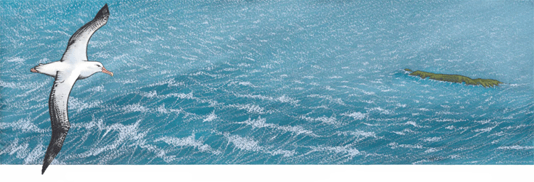 the vast windswept sea..." PRINT – alisonlester.com